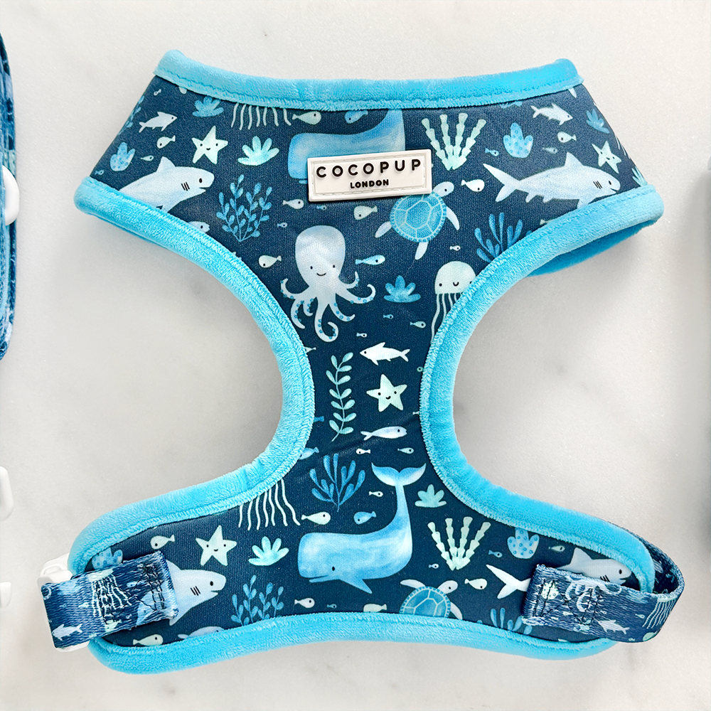 Sea Life Pawty Adjustable Neck Harness | Cocopup London