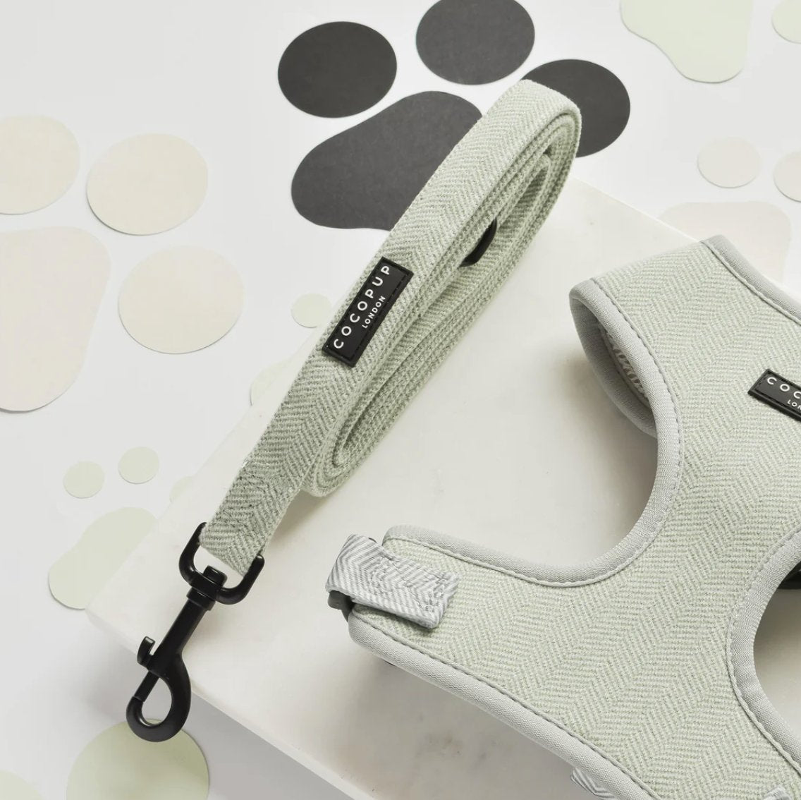 Leads – Page 2 – Cocopup London