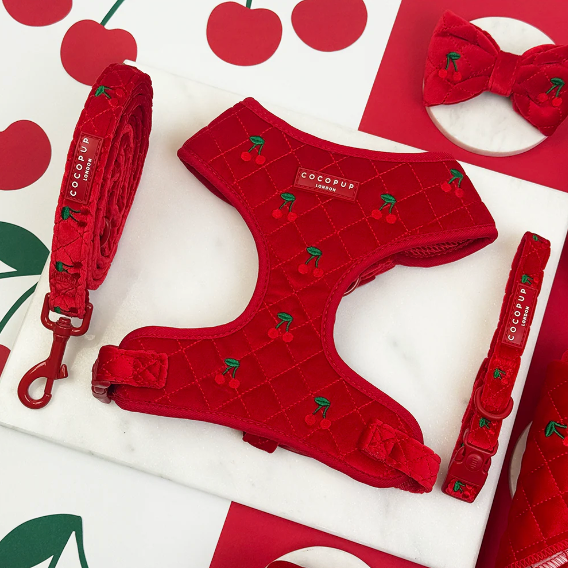 New In | Cocopup London