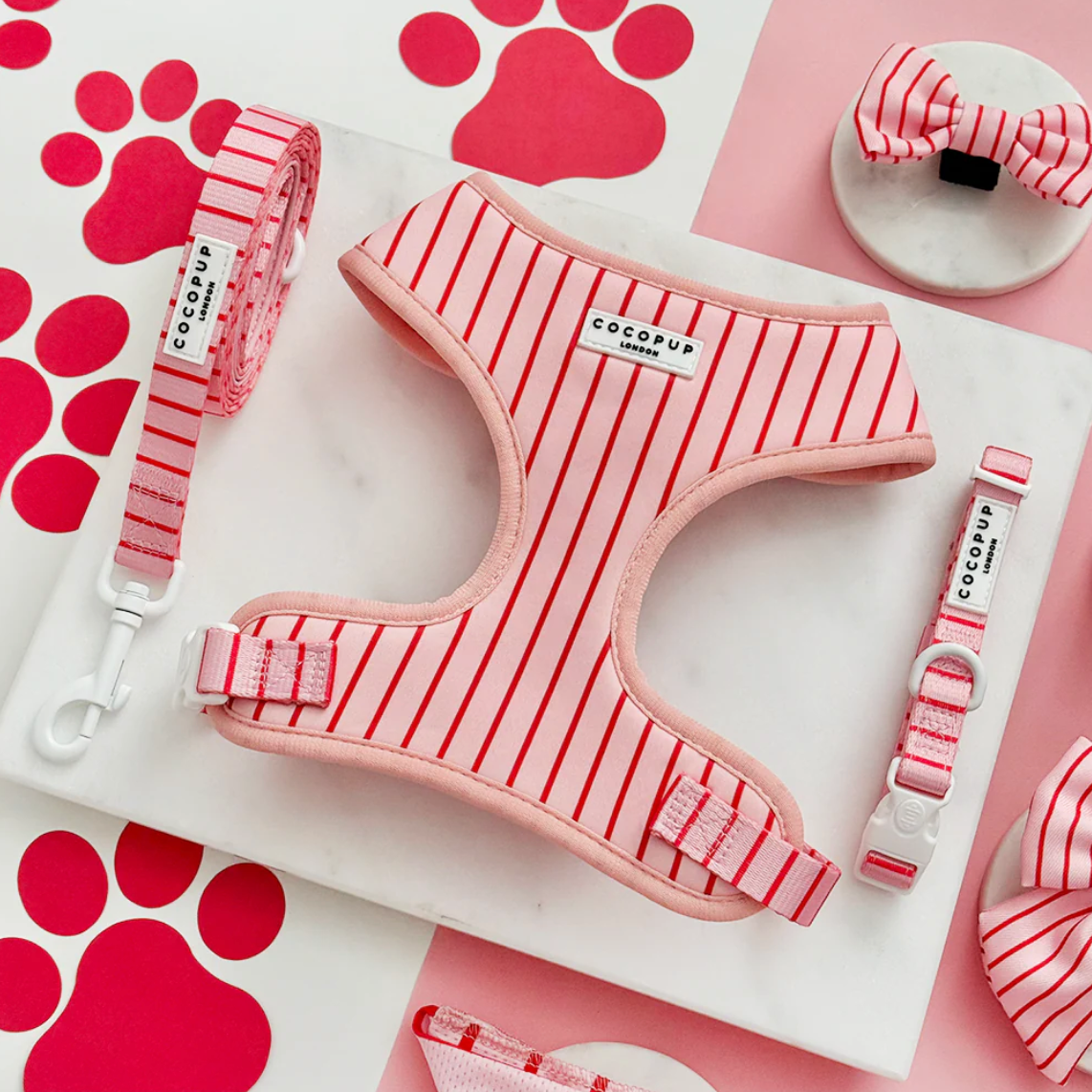 NAKD Adjustable Neck Harness - Matcha – Cocopup London