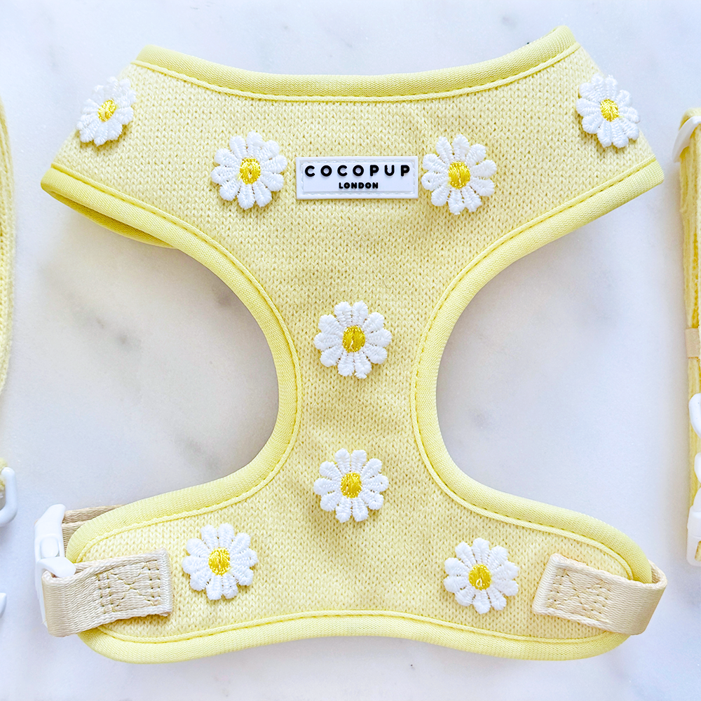 Sage Tweed Adjustable Neck Dog Harness | Cocopup London