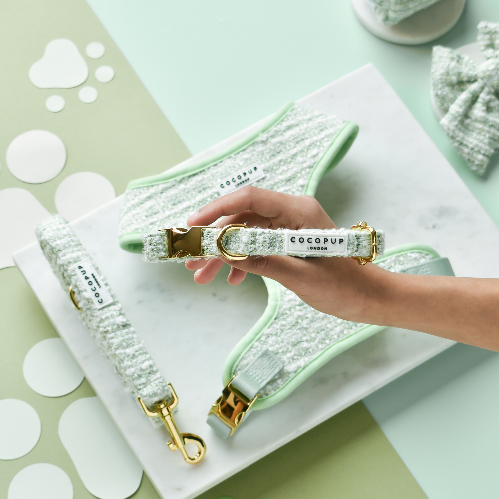 Matcha Textured Tweed Dog Collar | Cocopup London