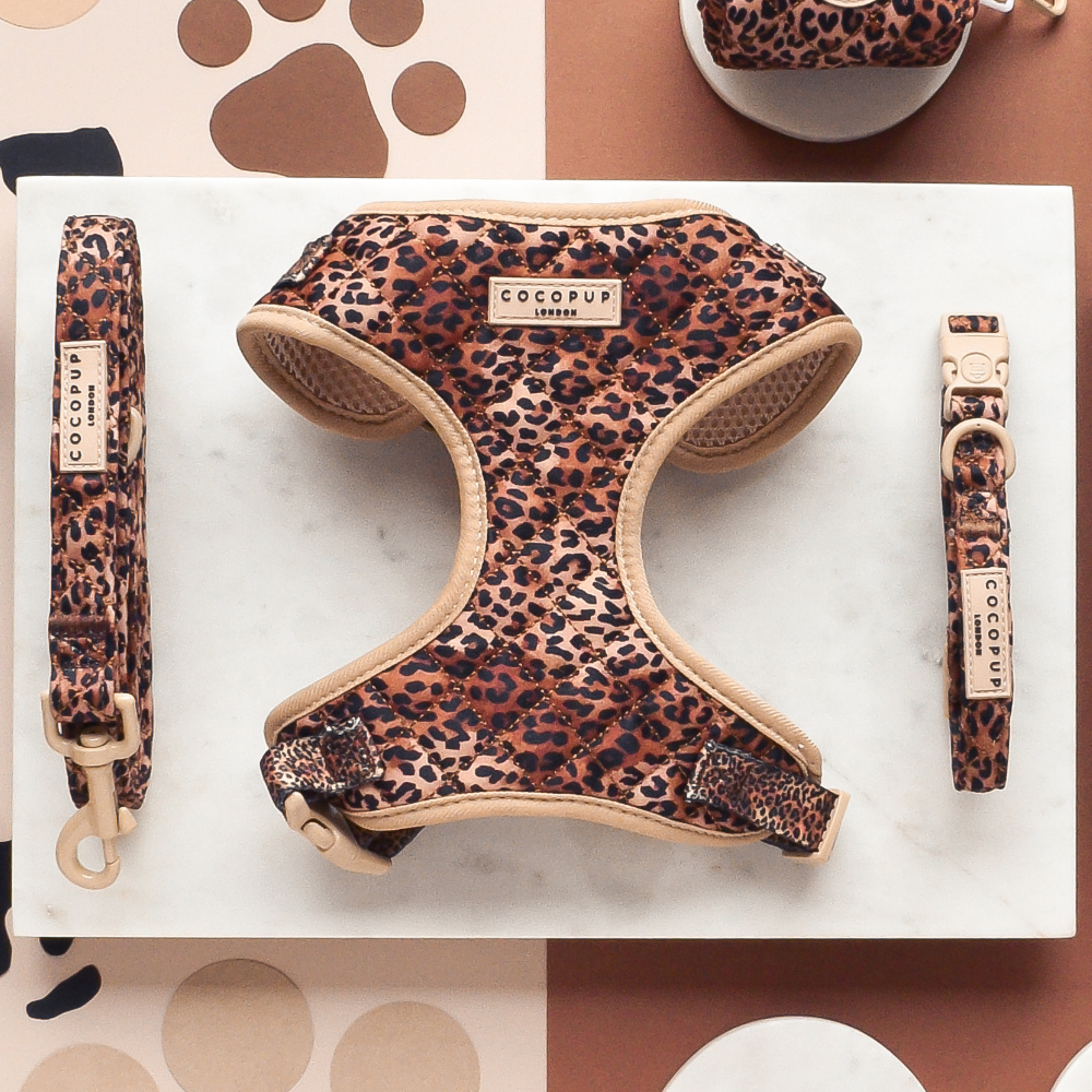 Quilted Leopard Pup Adjustable Neck Dog Harness, Lead & Collar Bundle ...