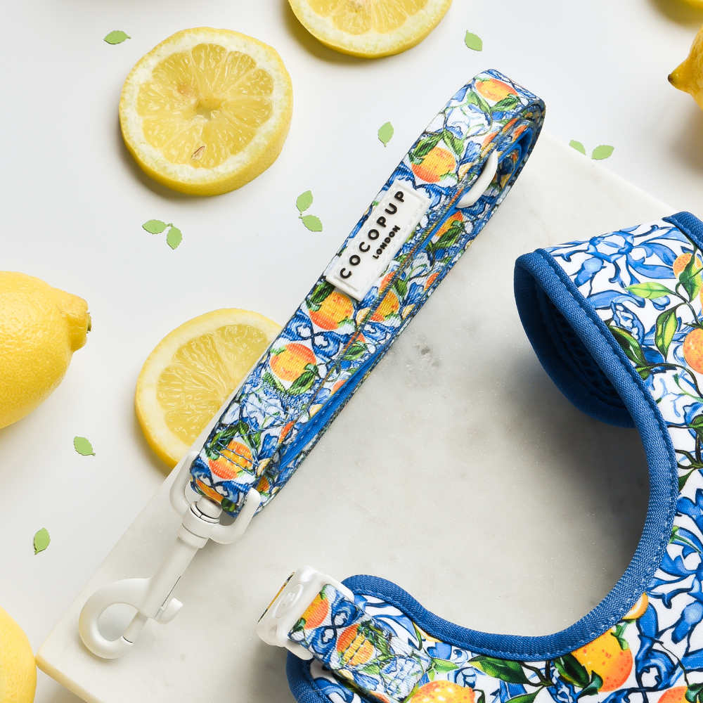 Amalfi Lemon Dog Lead | Cocopup London