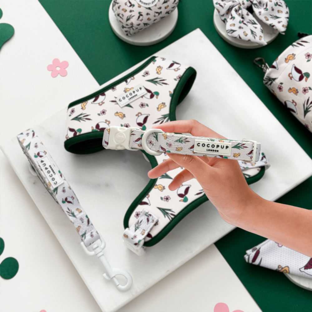 Puddle Pup Dog Collar | Cocopup London