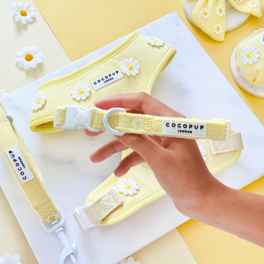 Buttercup Pup Dog Collar | Cocopup London