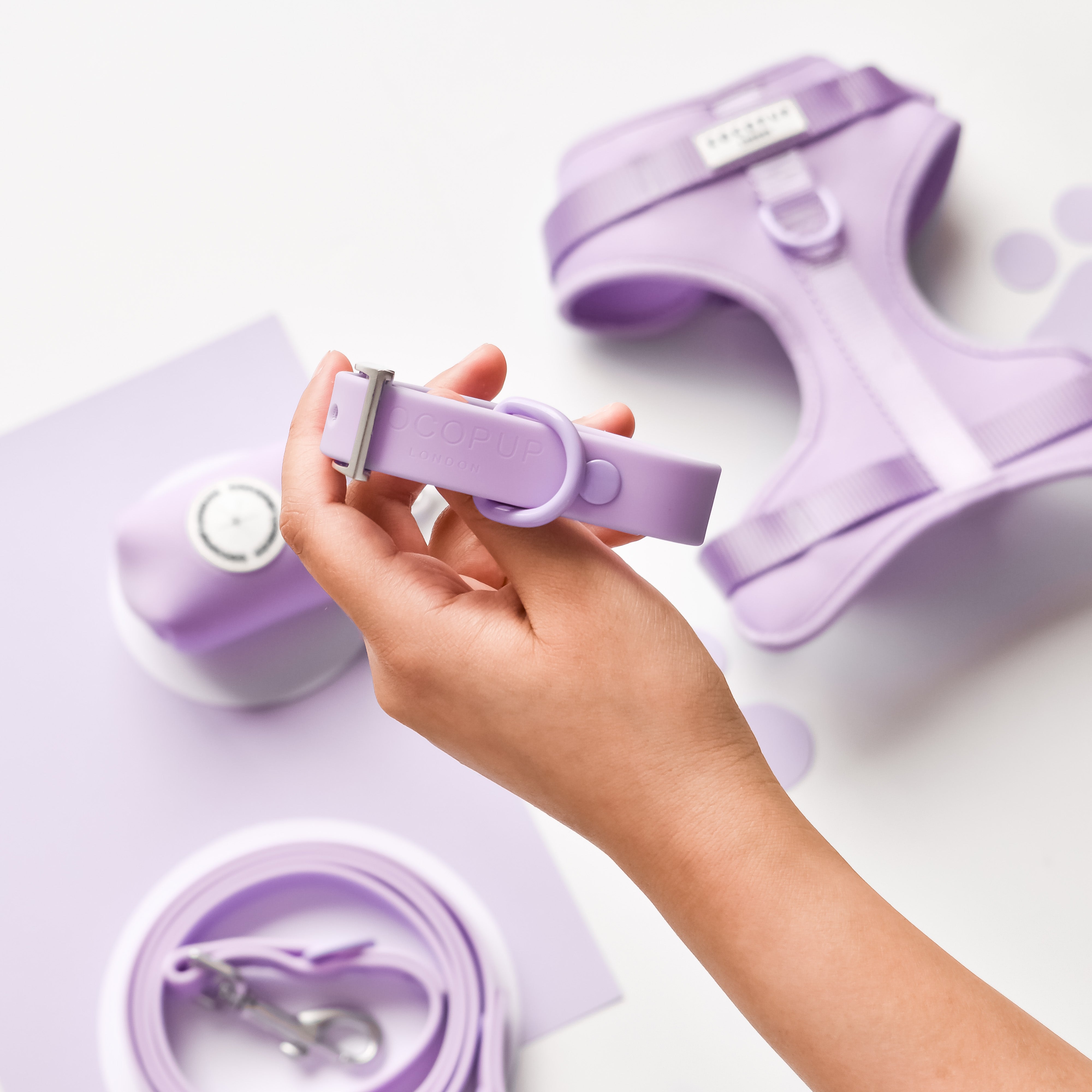 NAKD Collar - Parma Violets | Cocopup London