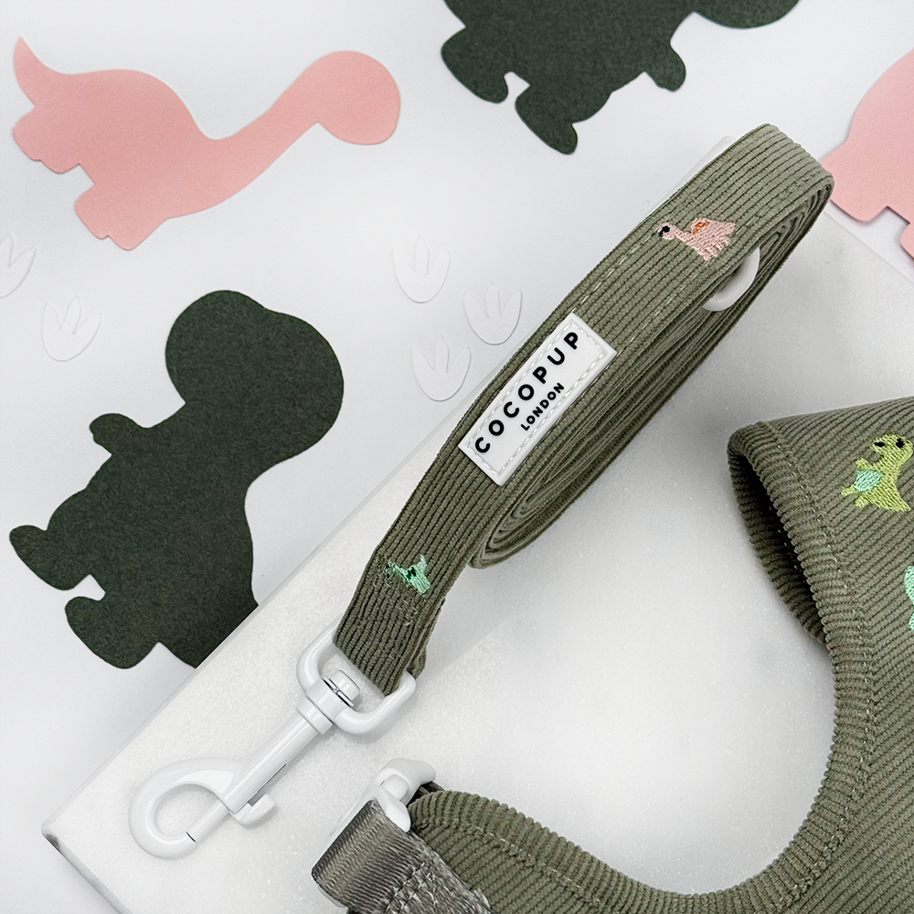 Dino Doodles Dog Lead | Cocopup London