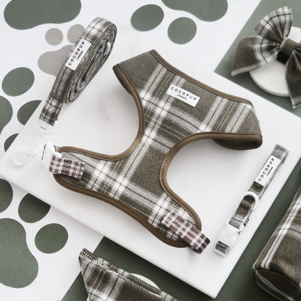 Olive Check Adjustable Neck Harness, Lead & Collar Bundle | Cocopup London