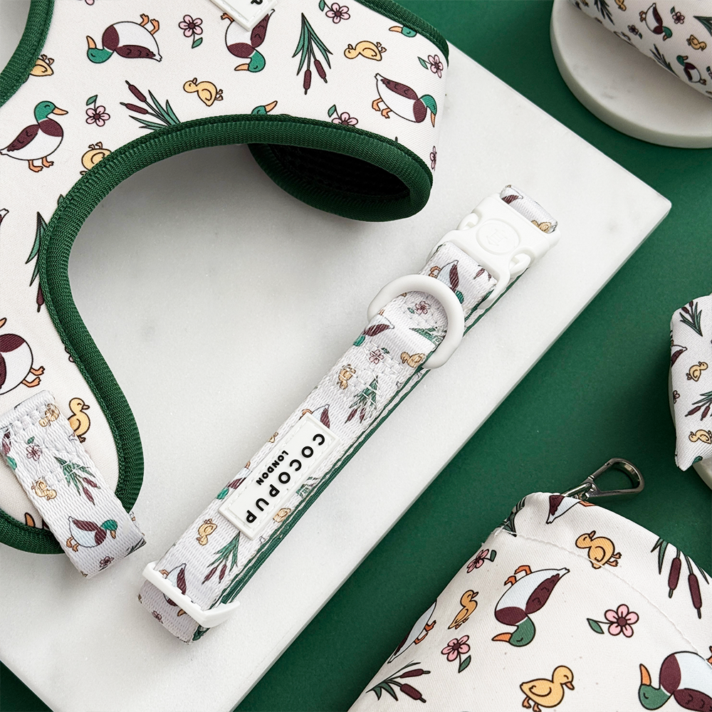 Puddle Pup Dog Collar | Cocopup London