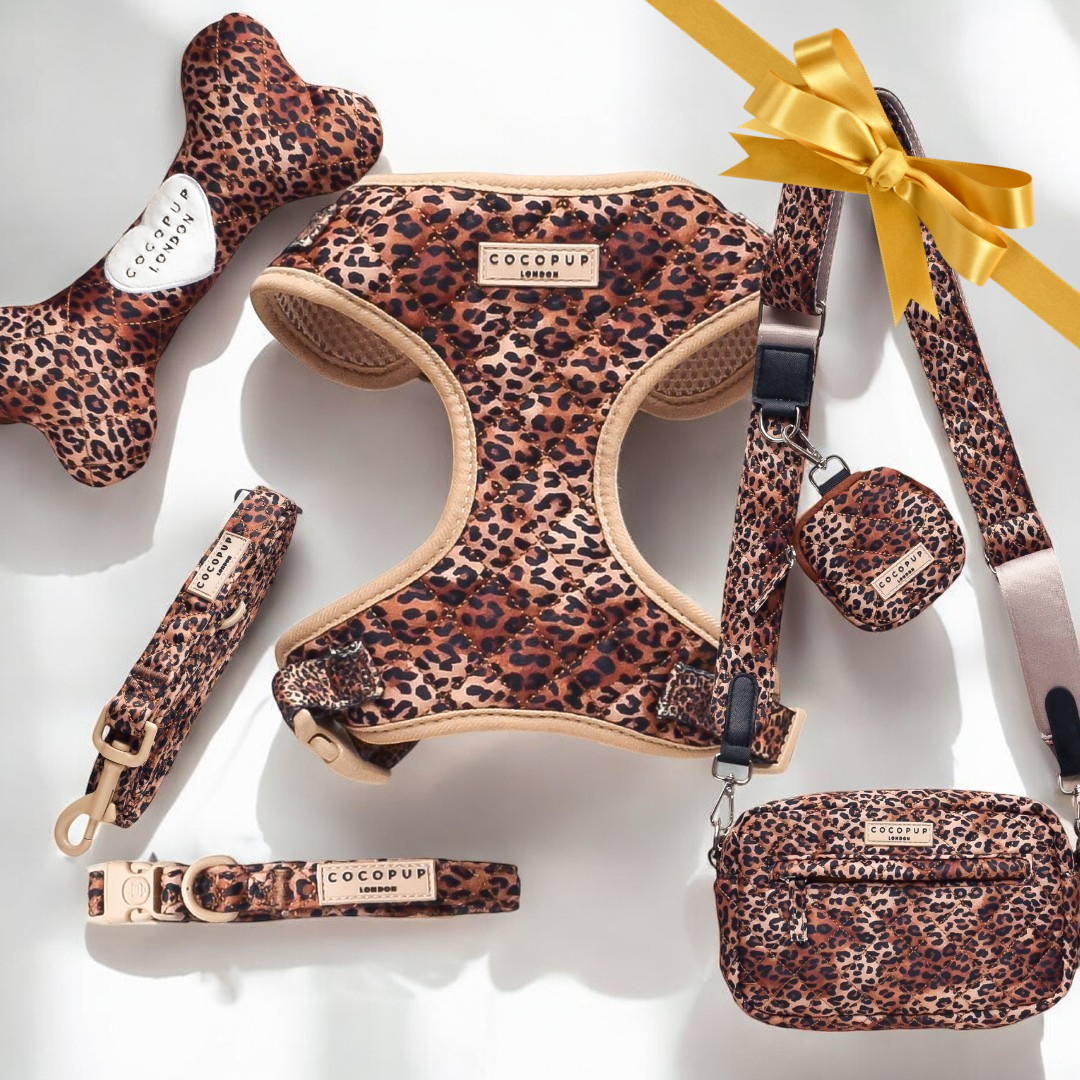 Quilted Leopard Pup - Birthday Bundle | Cocopup London