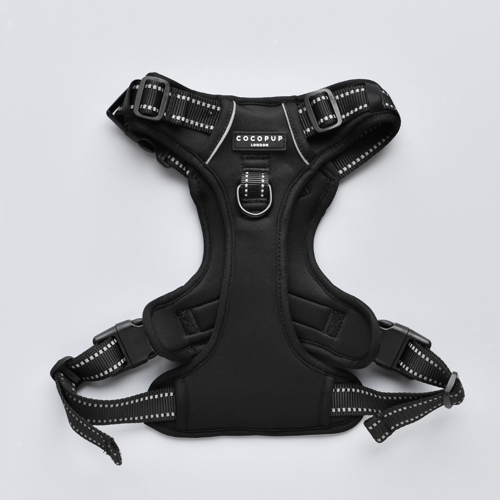 Explore Dog Harness - NAKD Liquorice | Cocopup London