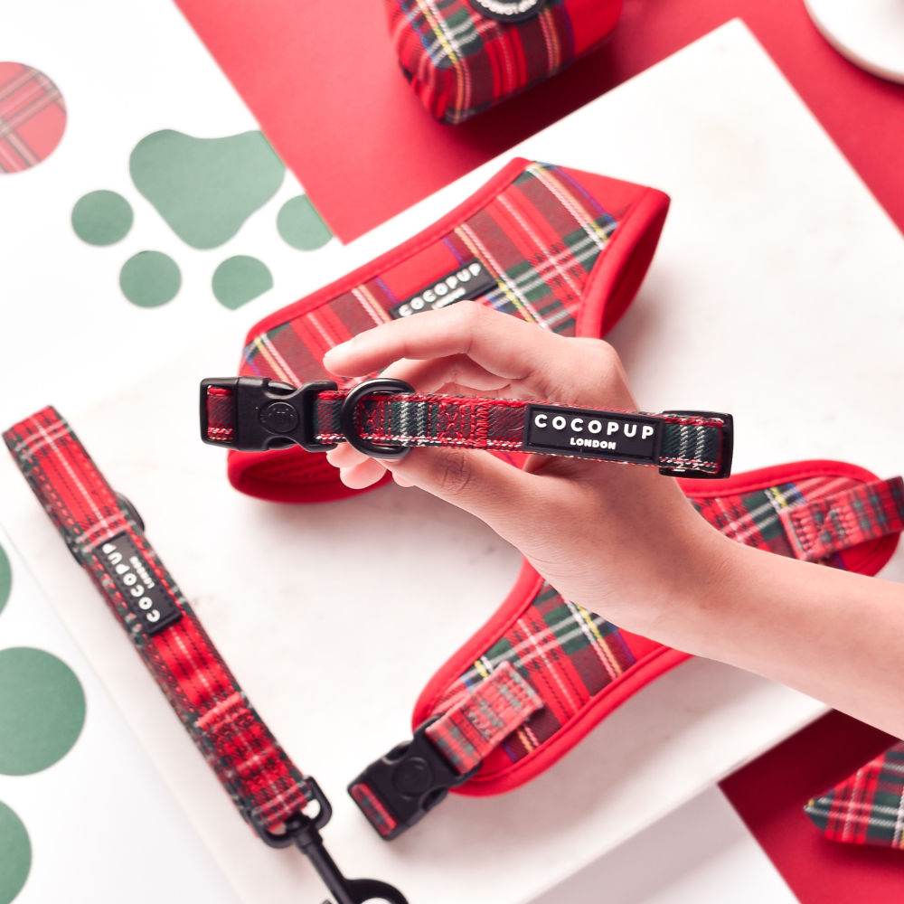 Tartan Dog Collar | Cocopup London