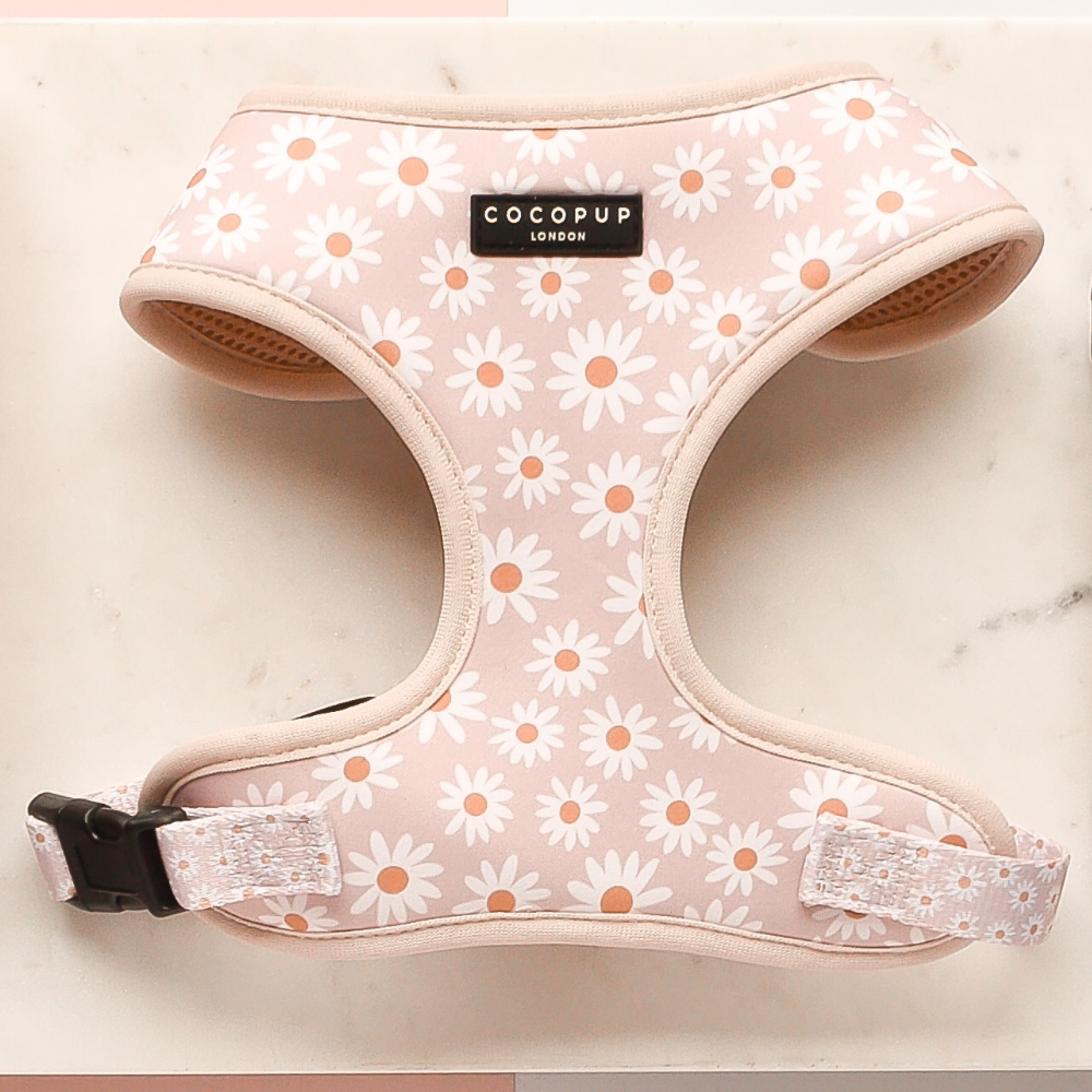 Daisy Chain Adjustable Neck Dog Harness | Cocopup London