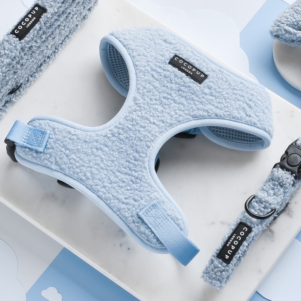 Teddy Adjustable Neck Dog Harness - Daydream | Cocopup London