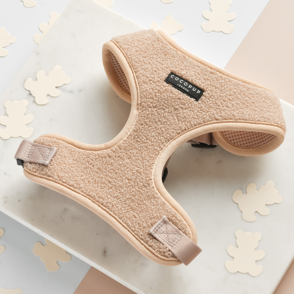 Teddy Adjustable Neck Dog Harness - Rupert | Cocopup London