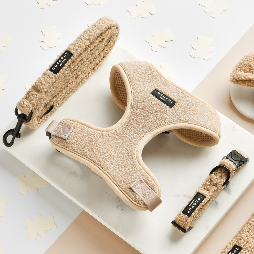 Teddy Rupert Adjustable Neck Harness, Lead & Collar Bundle | Cocopup London