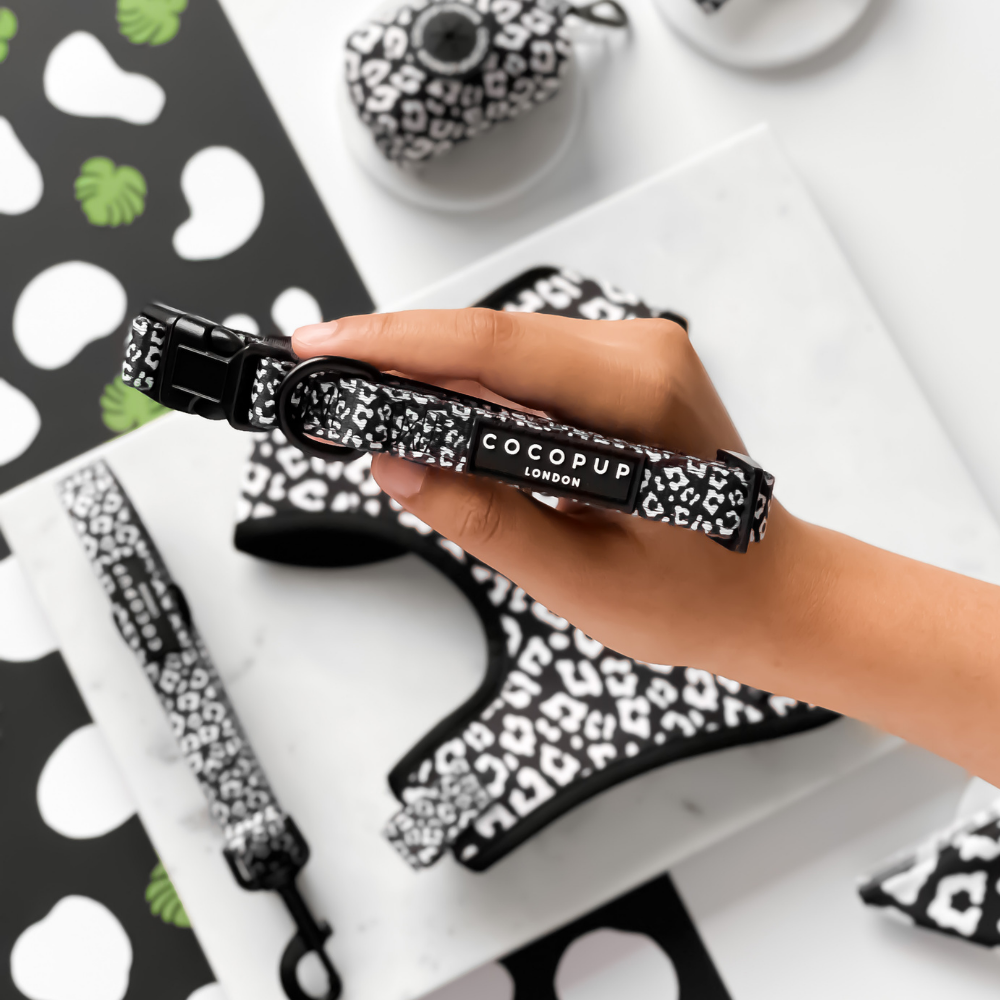 Black Leopard Collar | Cocopup London