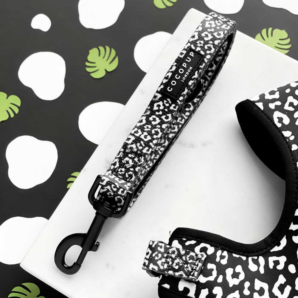 Black Leopard Dog Lead | Cocopup London